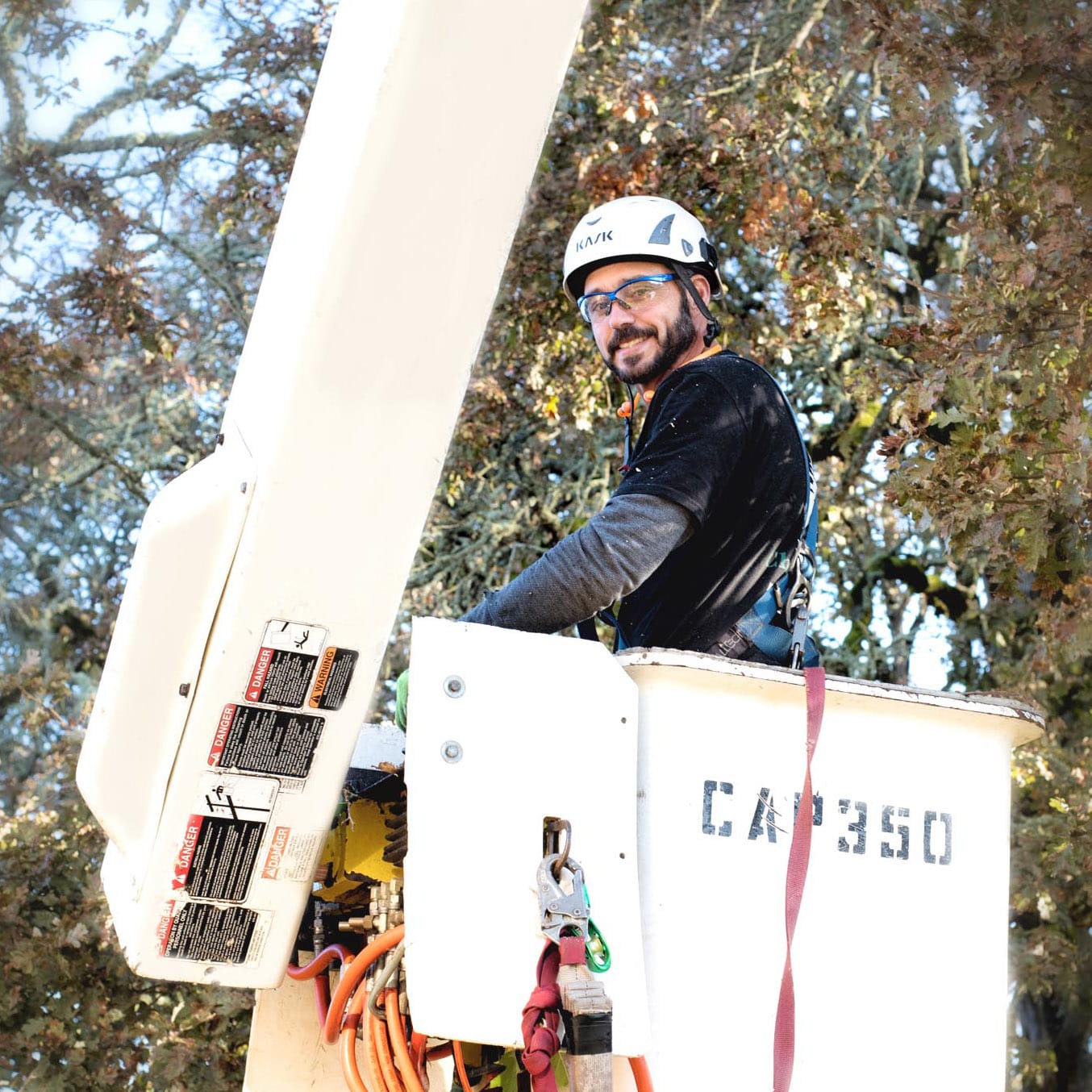 For professional, experienced tree care — Childress Tree. - Childress ...